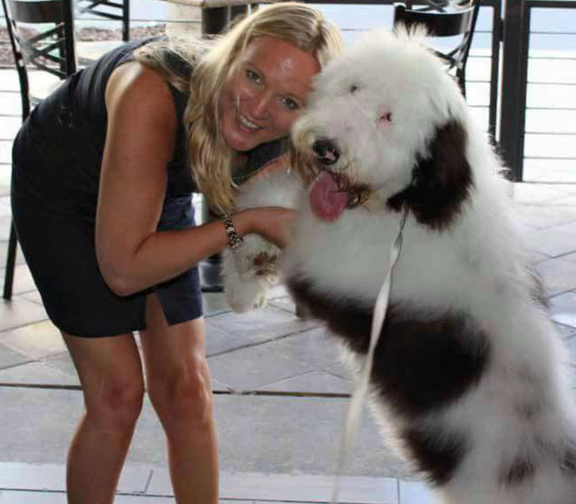 Sheepadoodle Scrapbook